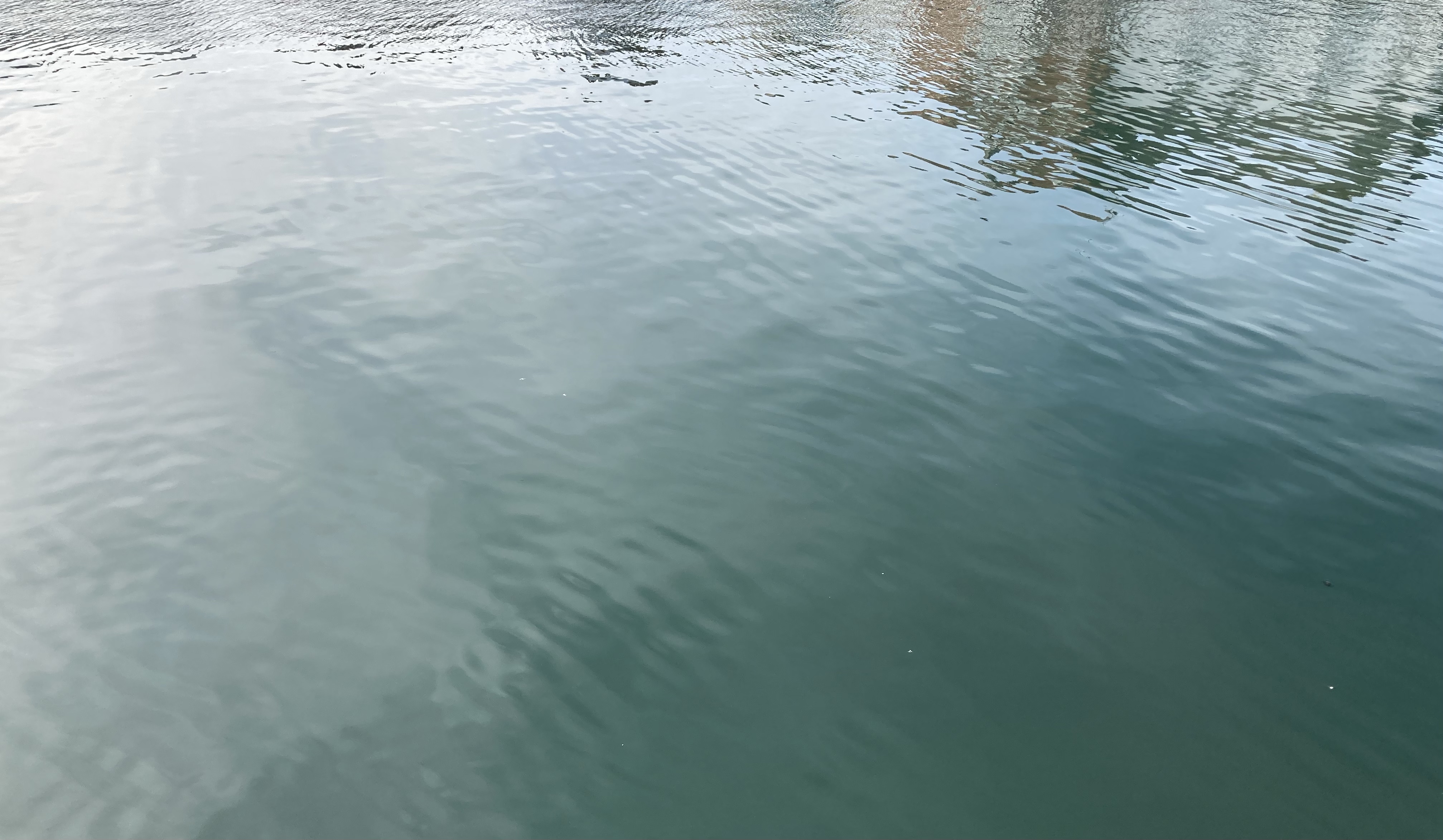 The Sea of Glass – Daughters of the Kingdom